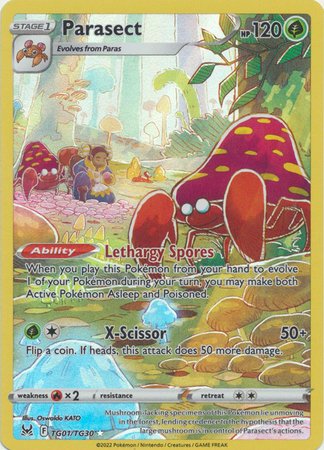 Parasect Trainer Gallery - Udvalgte - Pokemonshop